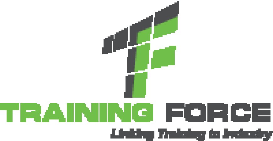 Training Force: Advancing Youth Skills Development in South Africa for ...