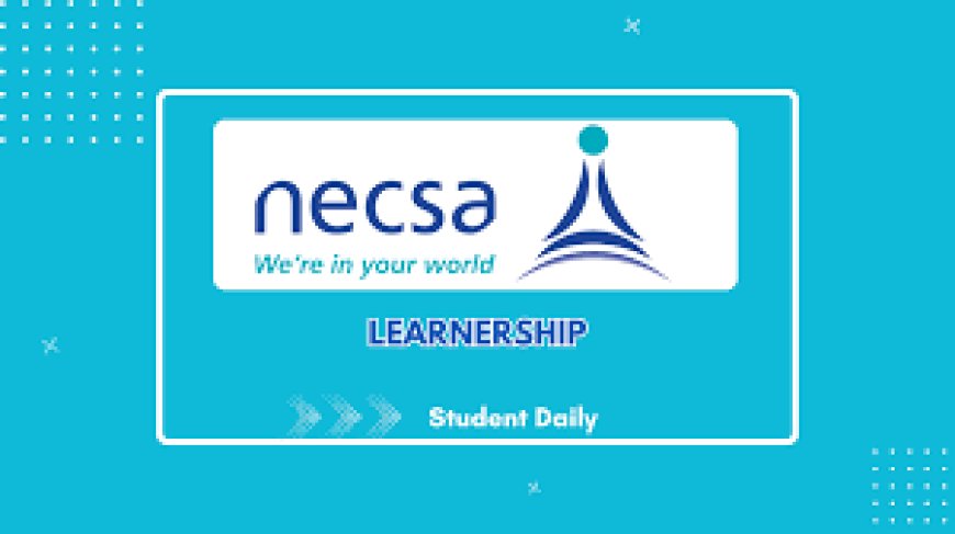 9 - 12 Month Learnership Programme at NECSA - Skills Daily SA